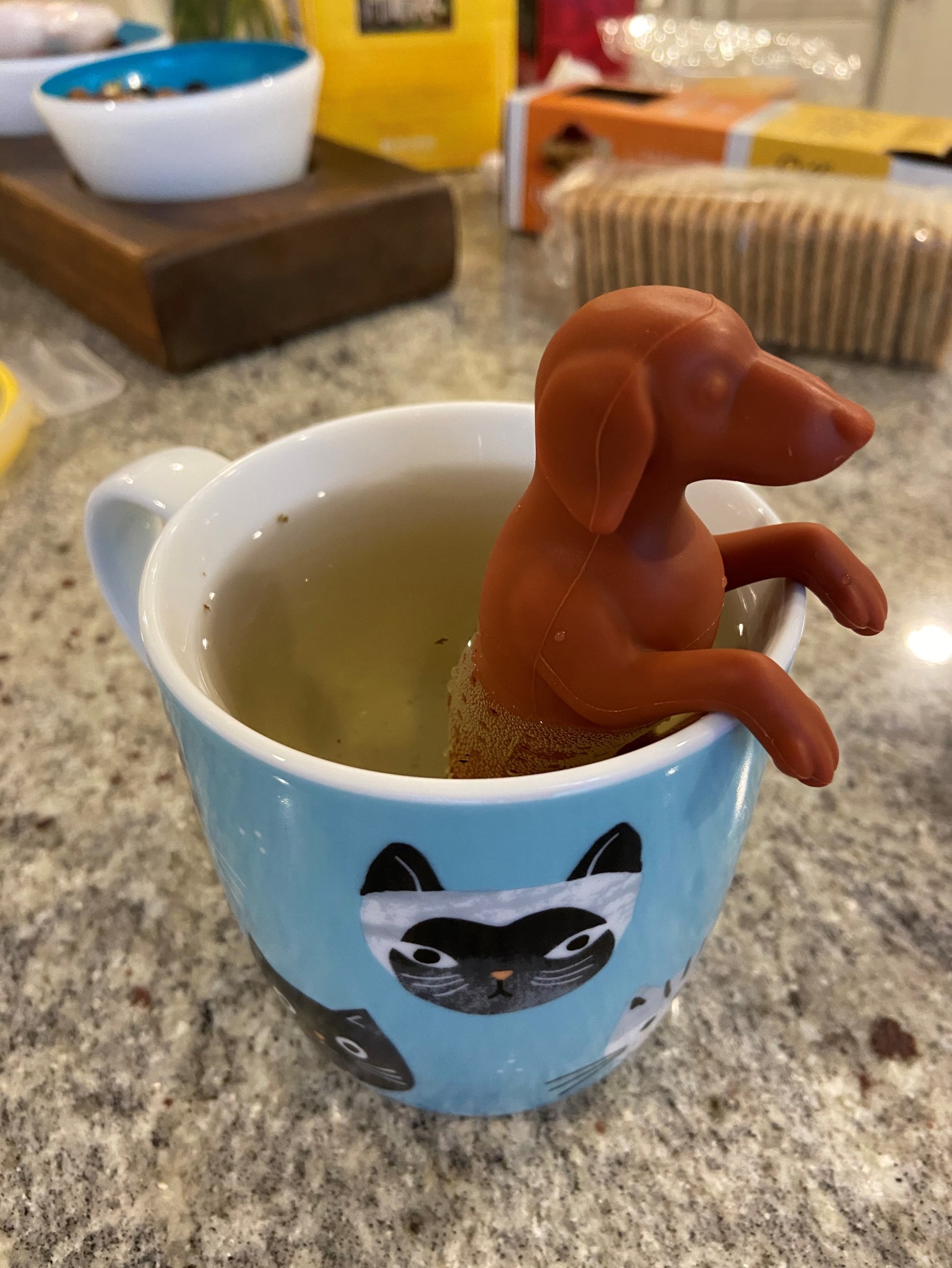 It’s A Dog’s Life: Lessons From My Dog Part VI (Don’t Look Back) – Put ...